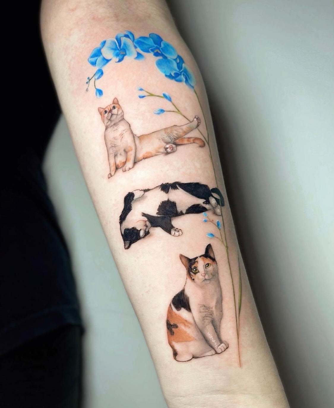 New guest artist - Almudena Roart – Garden of Eden Studios